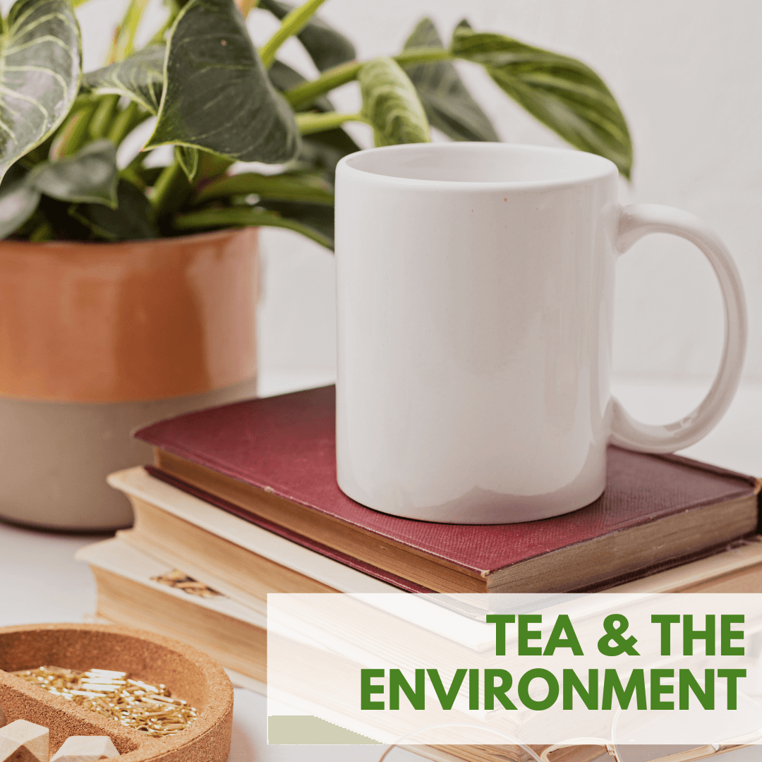 Green Tea: How to Enjoy Your Cup While Being Eco-Friendly – Beach House ...